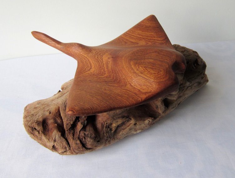 Carved wooden sculpture of a Manta Ray / Stingray on driftwood